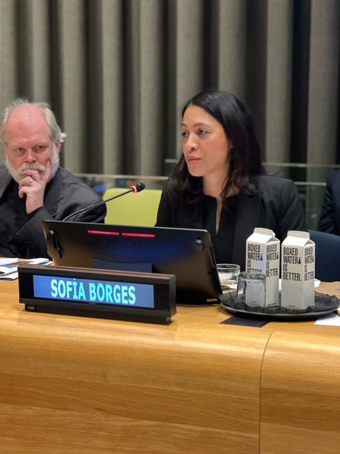 Workshop on Revitalization of the Work of the General Assembly | UNITAR